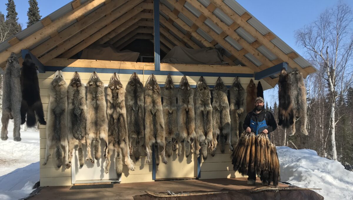 Guided Adventures – Epic Alaska